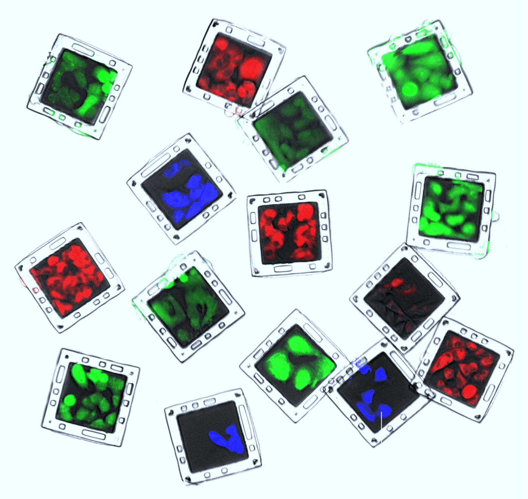 Semarion | Semarion Introduces SemaCyte Multiplexing Platform to ...